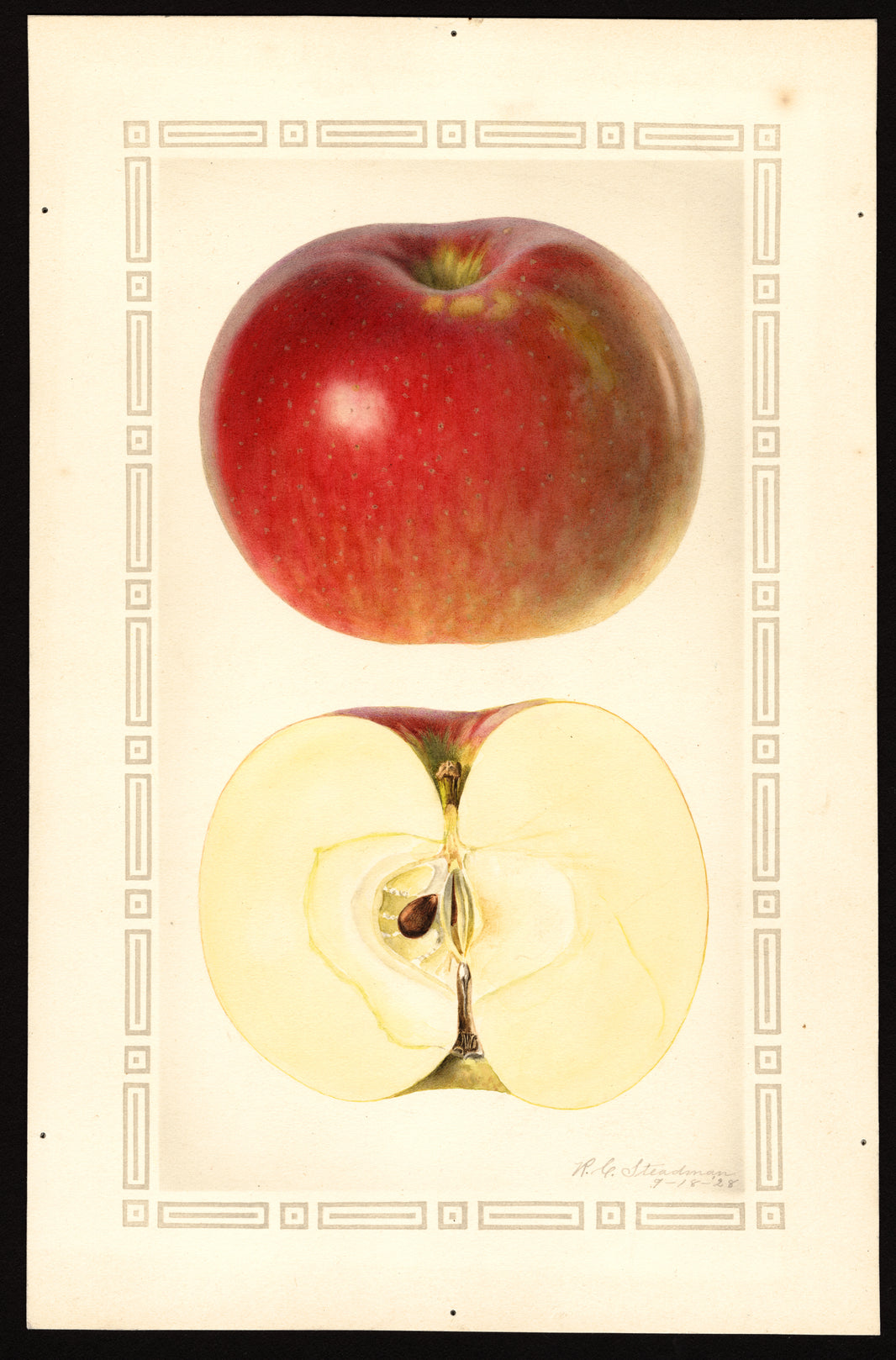 Products – The Urban Orchardist