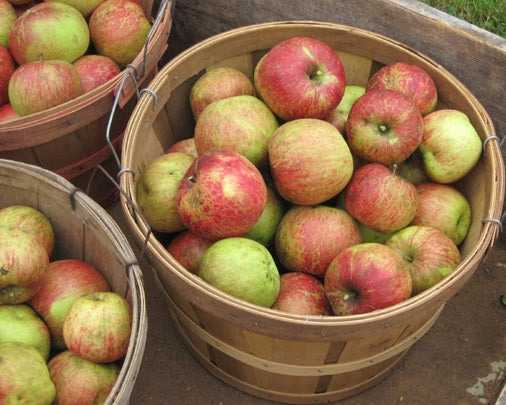 Products – The Urban Orchardist